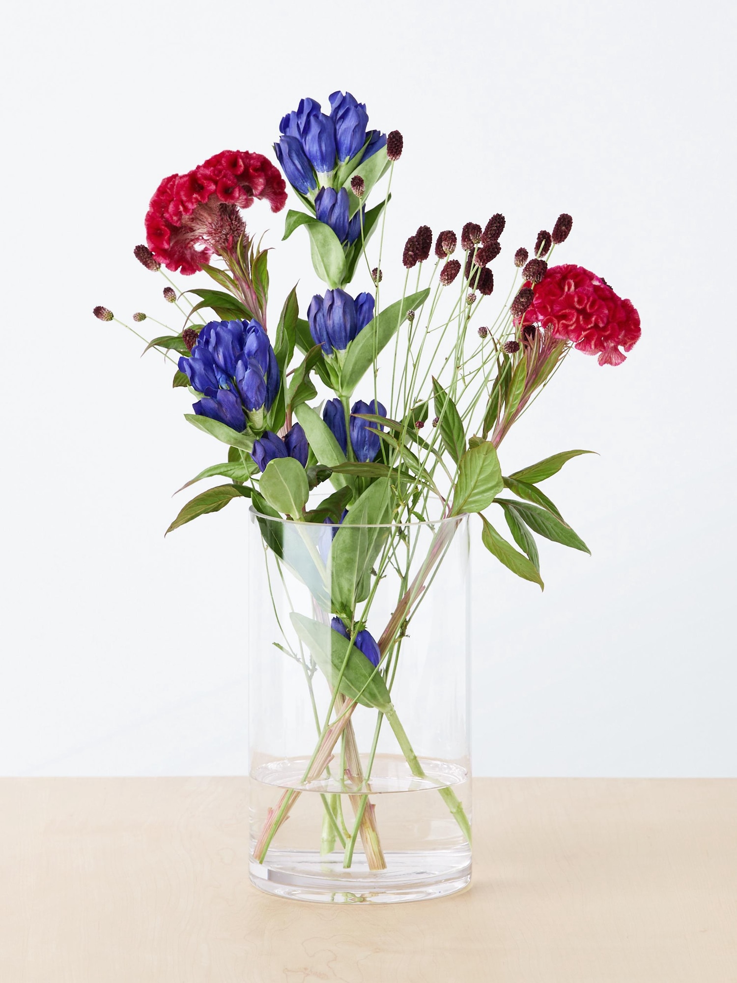 ユニクロ公式 | 季節限定 リンドウ