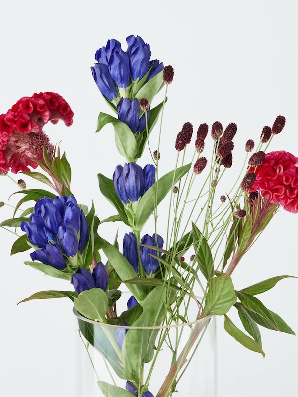 ユニクロ公式 | 季節限定 リンドウ