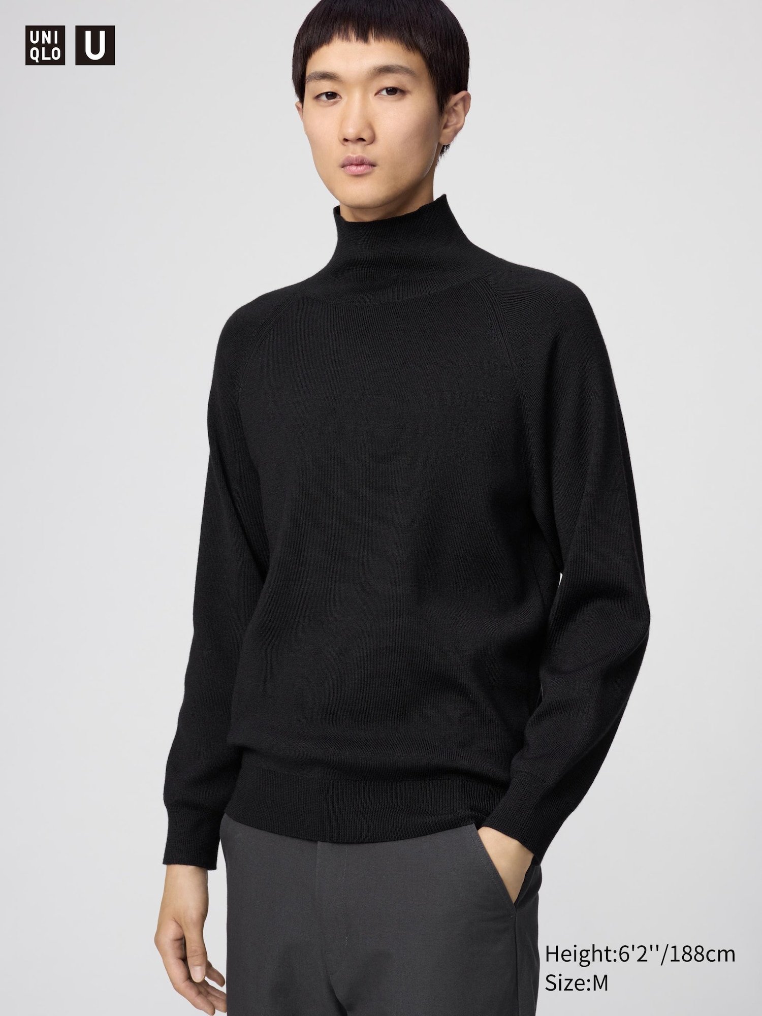 Pullover (hoher Kragen) für Herren | UNIQLO DE